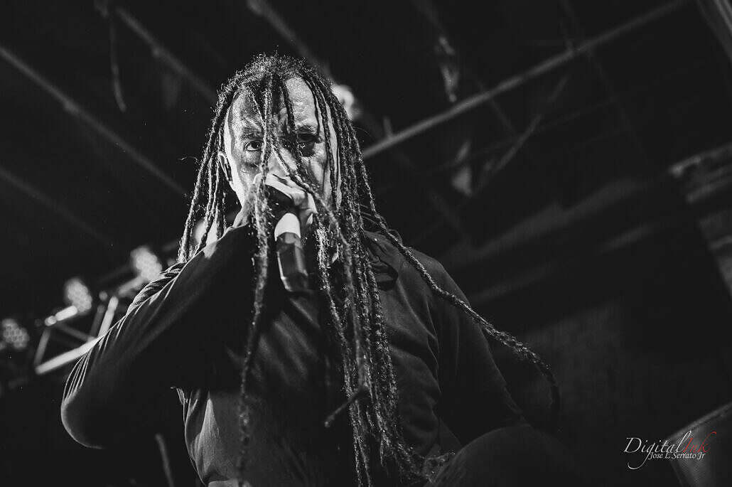 Nonpoint at Trees – The Audio Head