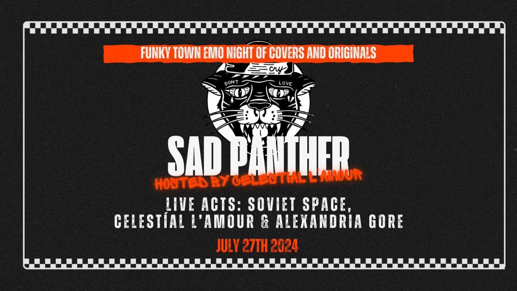 Sad Panther @ The Cicada – The Audio Head